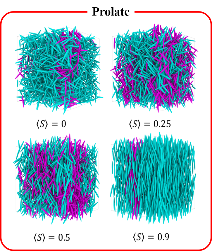 Pouyan Karimi Portfolio